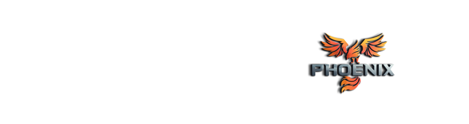 Phoenix Pouch Machine | Winpak